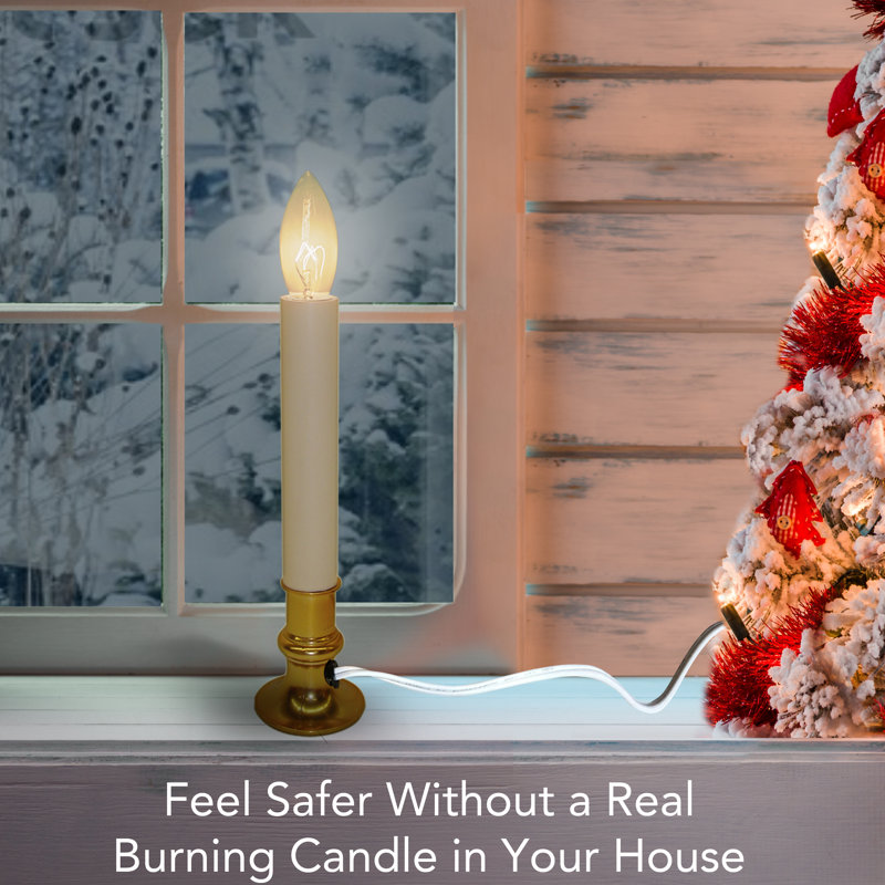 Brite Star Lighted Window Décor & Reviews | Wayfair