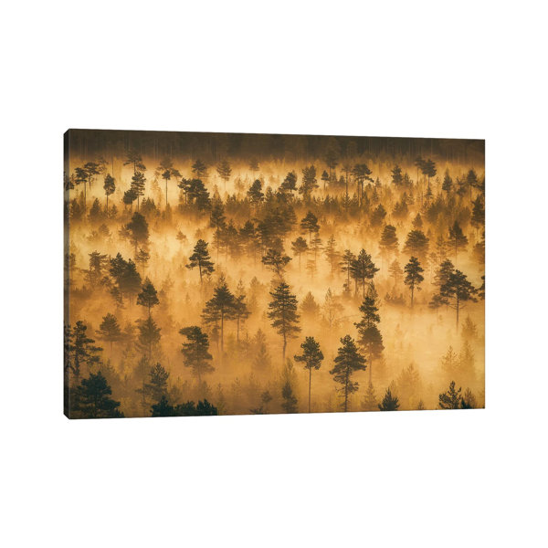 Alpen Home Dwarf Pines II by Lauri Lohi - Wrapped Canvas Print ...