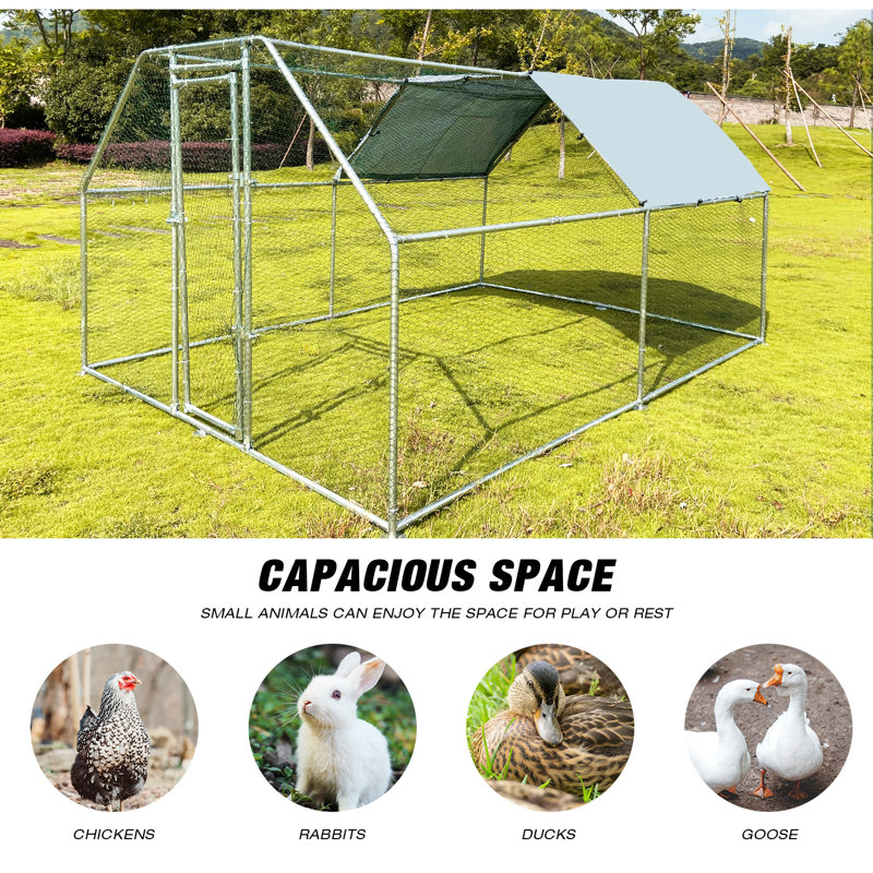 Tucker Murphy Pet™ Ayuna Chicken Coop Walk-in Poultry Cage Chicken Pen ...
