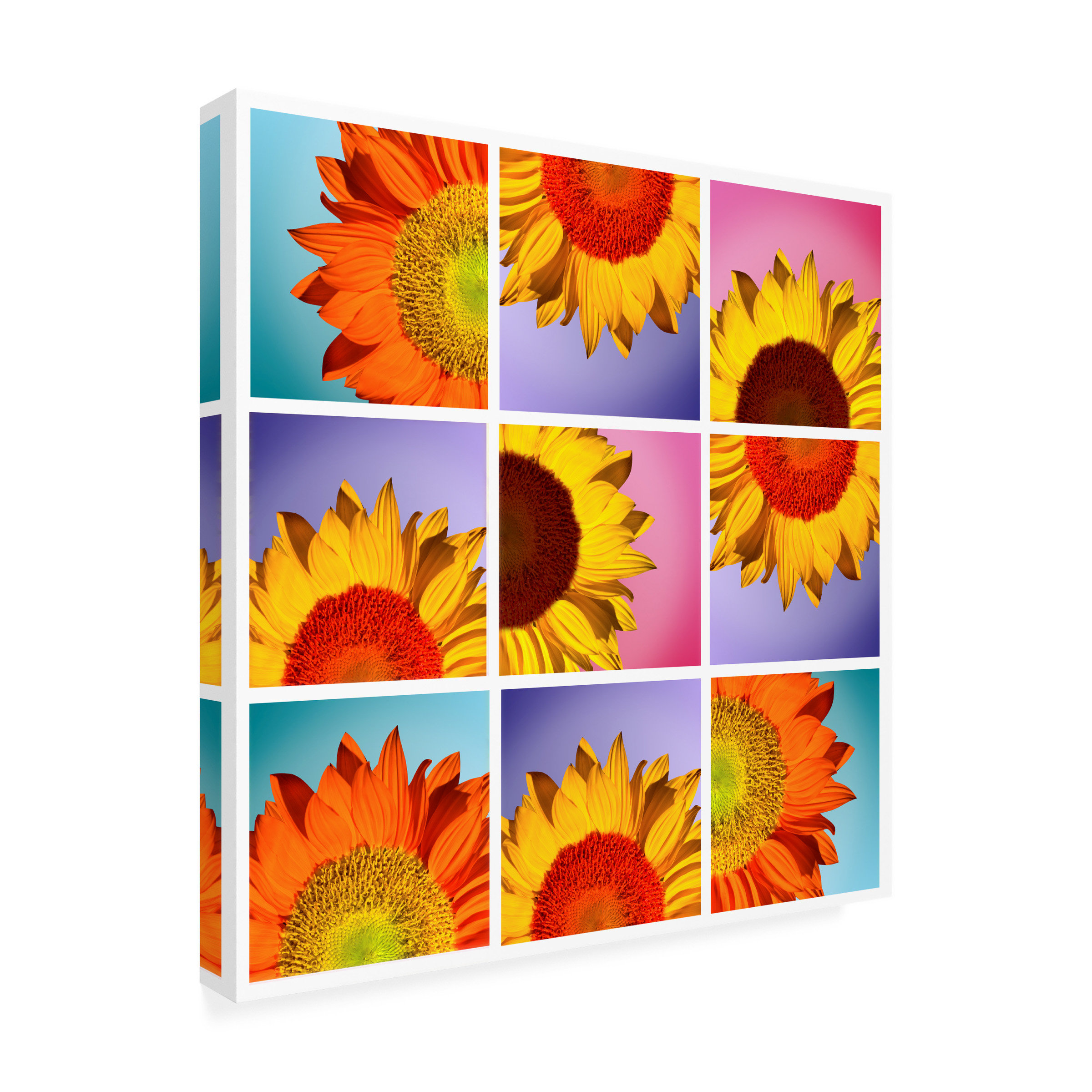 August Grove® Sunflowers On Canvas by Mark Ashkenazi Print | Wayfair