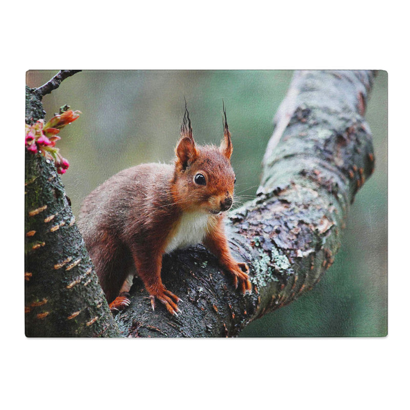 Metro Lane Red Squirrel 2 Glass Chopping Board | Wayfair.co.uk