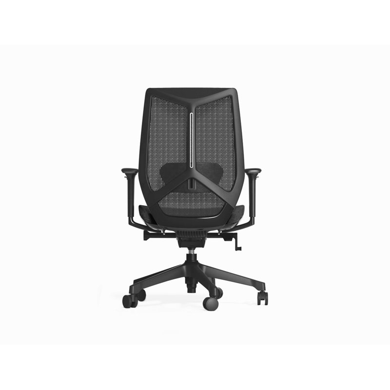 Friant Ignite Ergonomic Mesh Task Chair with Lumbar Support, Pneumatic ...