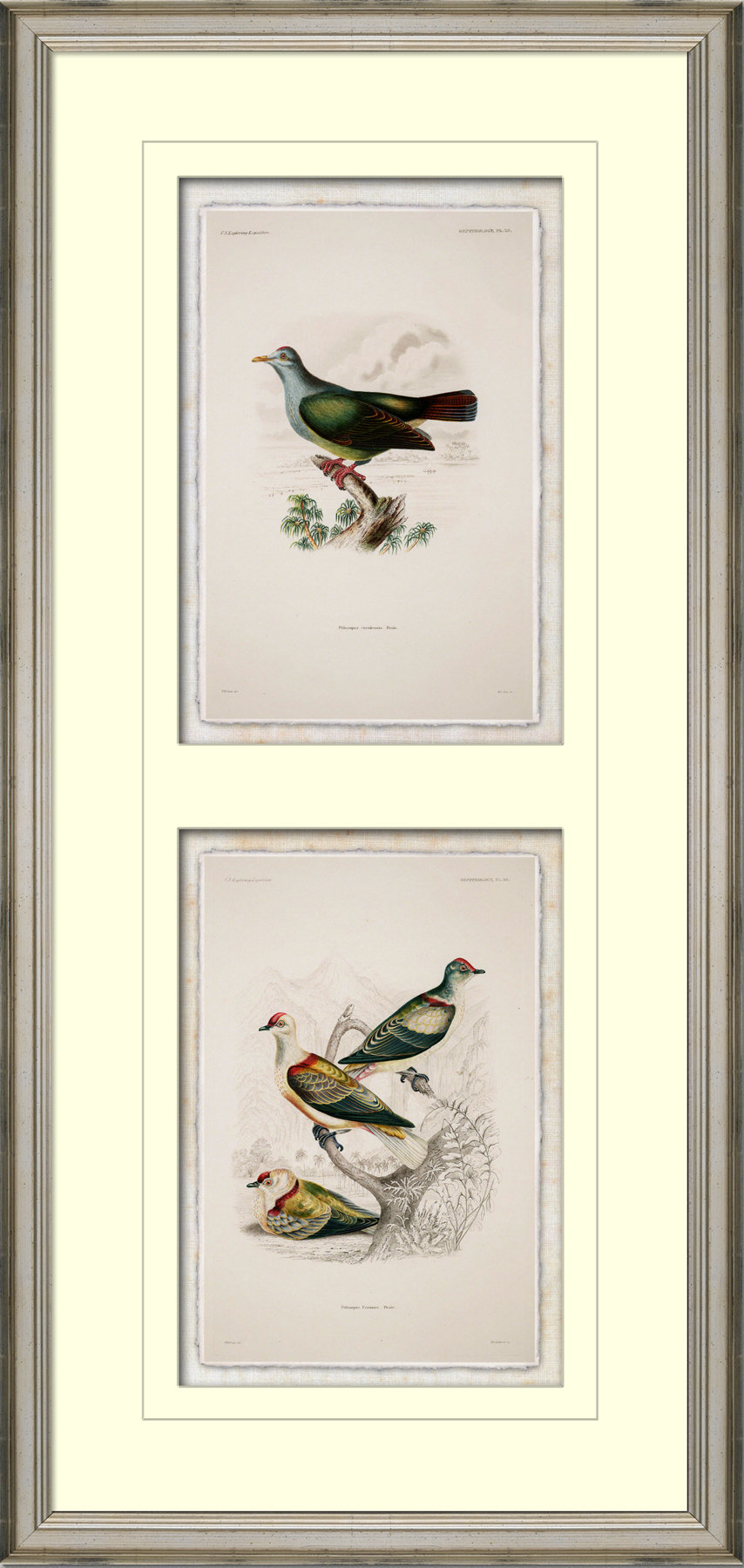 Wendover Art Group Stacked Pastel Birds II - Picture Frame Painting on ...