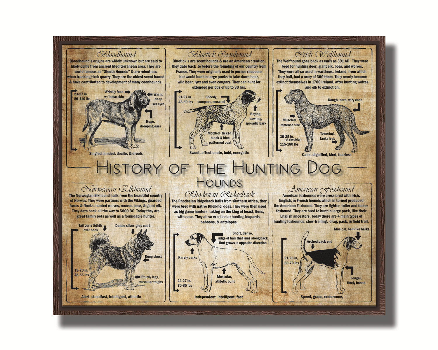 Trinx History of the Hound Dog - Breed Collage | Wayfair