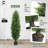 CAPHAUS Artificial Cedar Tree Pair, UV Resistant Boxwood Topiary w ...