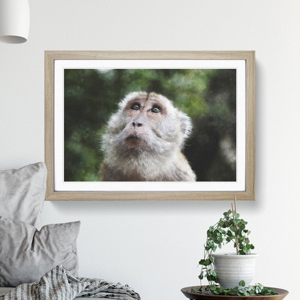 East Urban Home Macaque Monkey - Picture Frame Graphic Art | Wayfair.co.uk