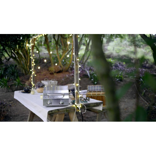 Megamaster 2 Burner Tabletop Gas Grill & Reviews | Wayfair