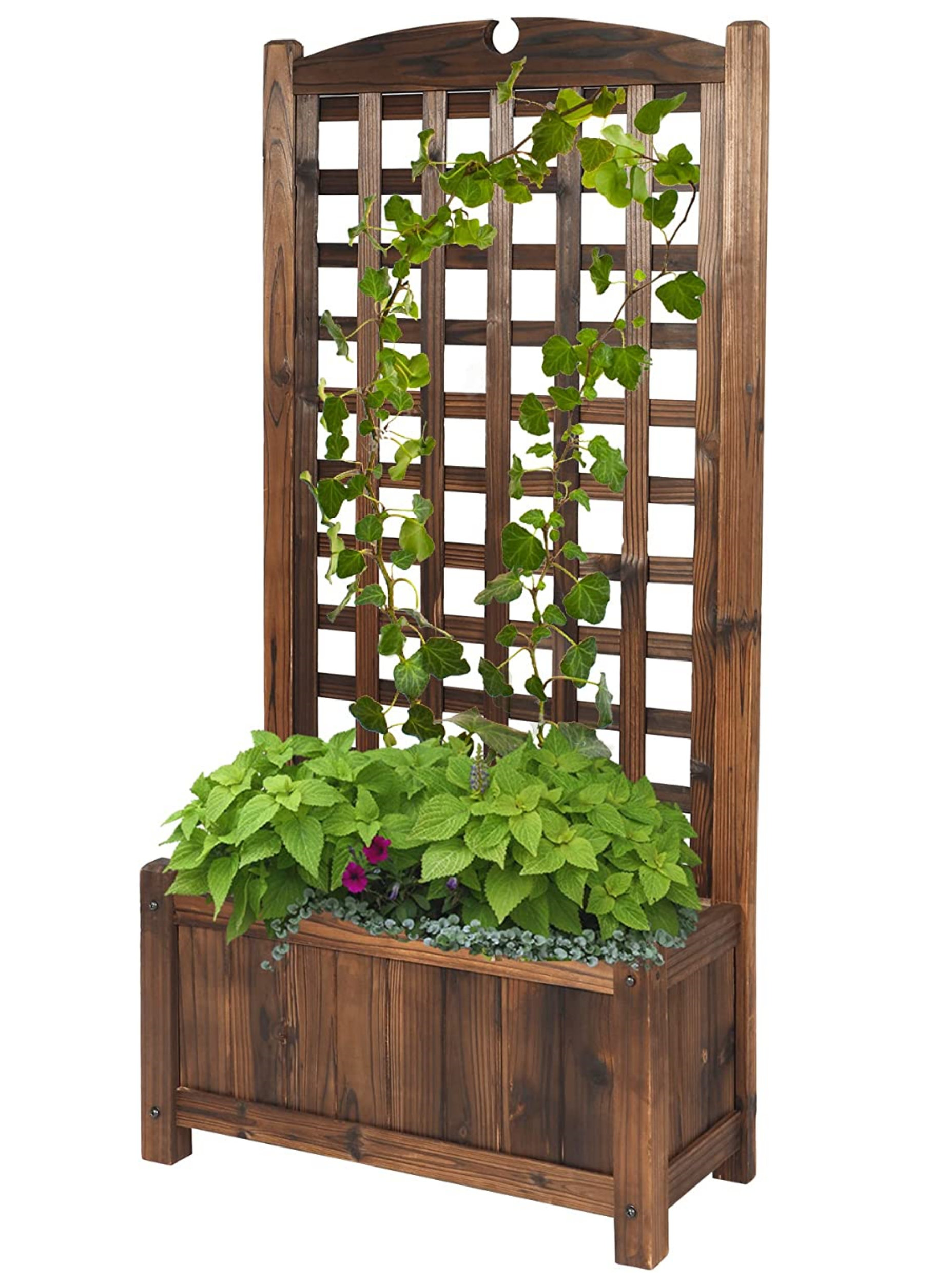 Millwood Pines Alazar Wood Planter Box with Trellis | Wayfair