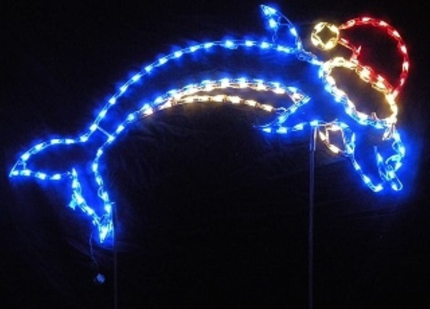 Lori's Lighted D'Lites Dolphin with Santa Hat Nautical Christmas ...