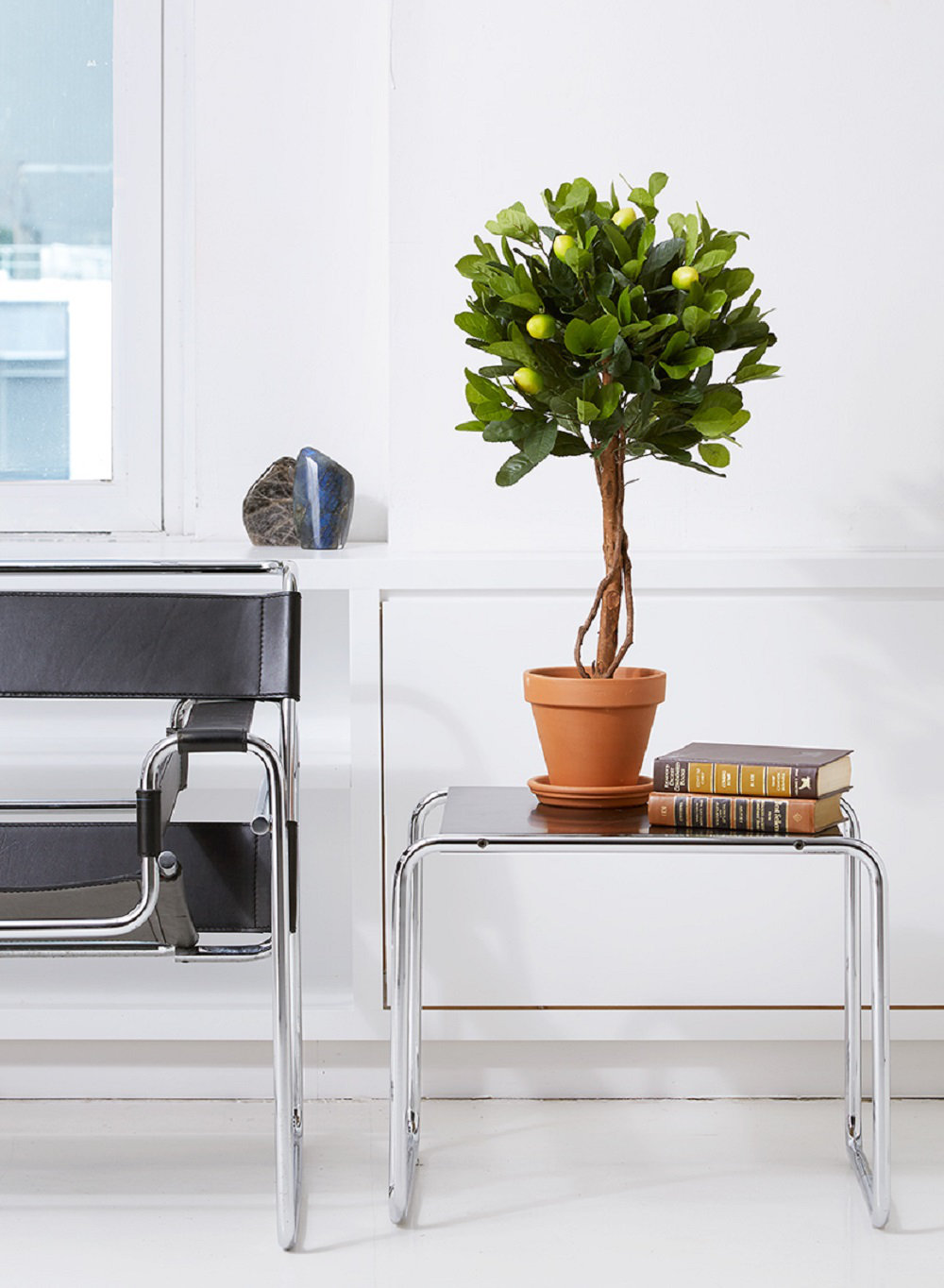 Bay Isle Home™ Lemon Tree in Pot | Wayfair