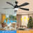 Modern Habitat TurboBreeze 52''/45'' - 5 Blade Modern Ceiling Fan with ...