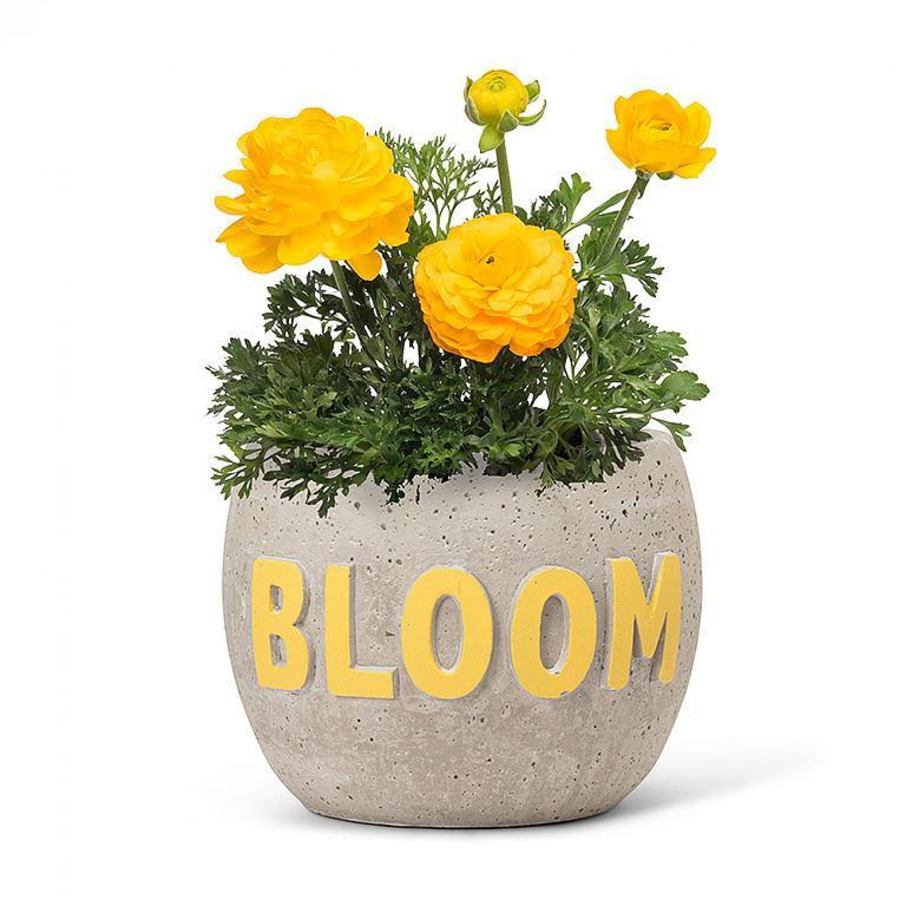 Hokku Designs Bloom Planter | Wayfair