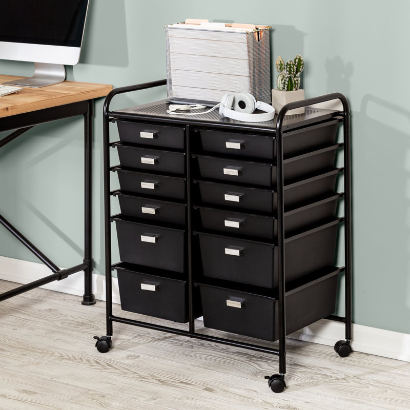 Rebrilliant Aiden 12 Drawer Rolling Storage Chest & Reviews | Wayfair