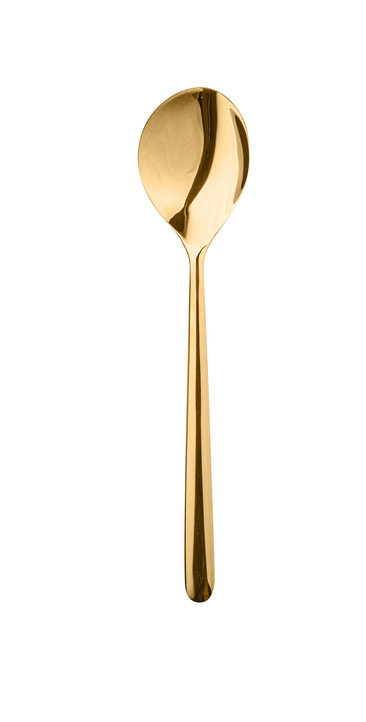 MEPRA Linea Gourmet Spoon - 12 Pieces | Wayfair