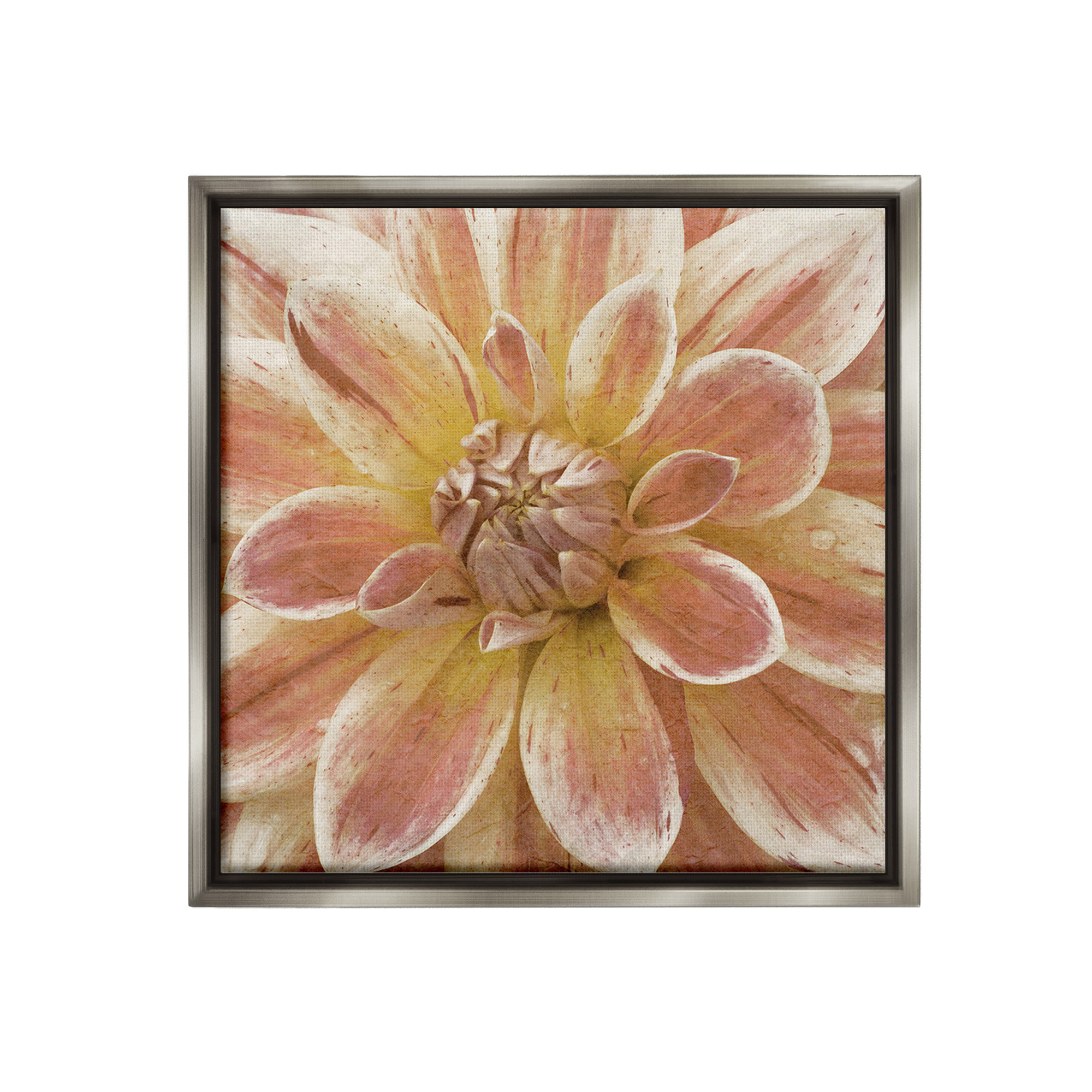 Red Barrel Studio® " Blooming Petals Close Up Floater Frame " by Alonzo ...