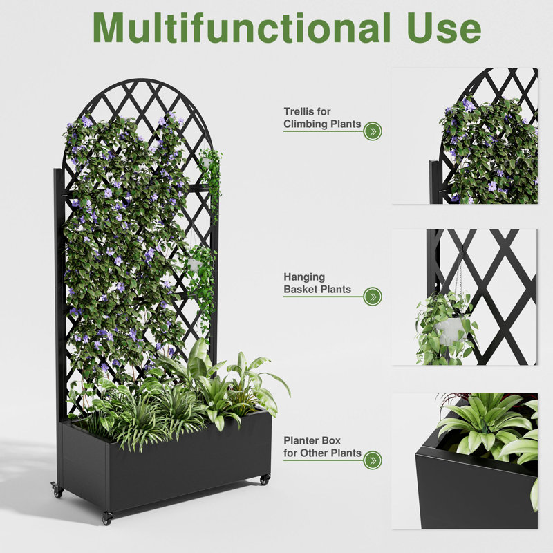 Arlmont & Co. 73"H×35"W Arch Metal Planter Box with Trellis with Wheels ...