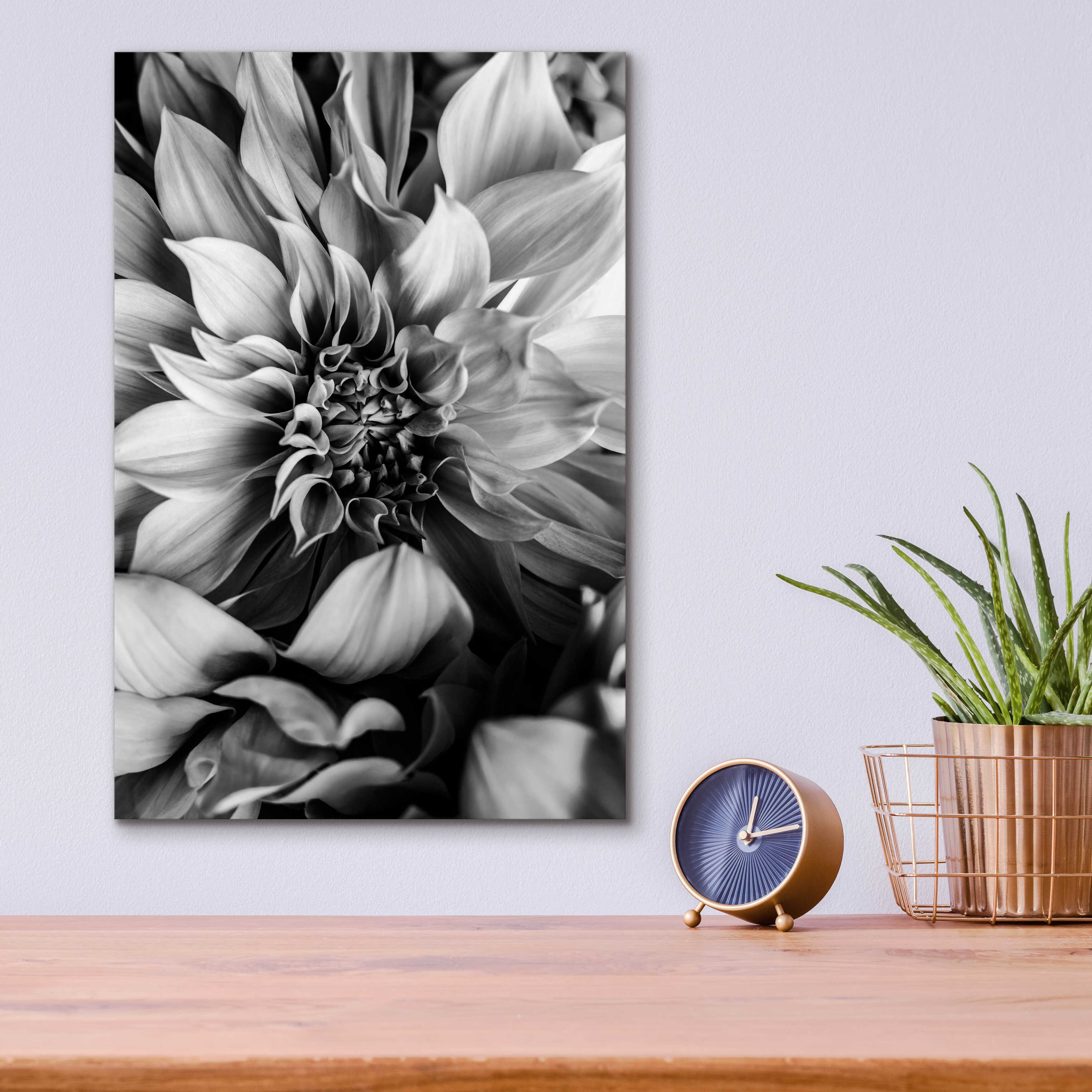Epic Art ''BW Flower 4'' By Incado Acrylic Glass Wall Art | Wayfair