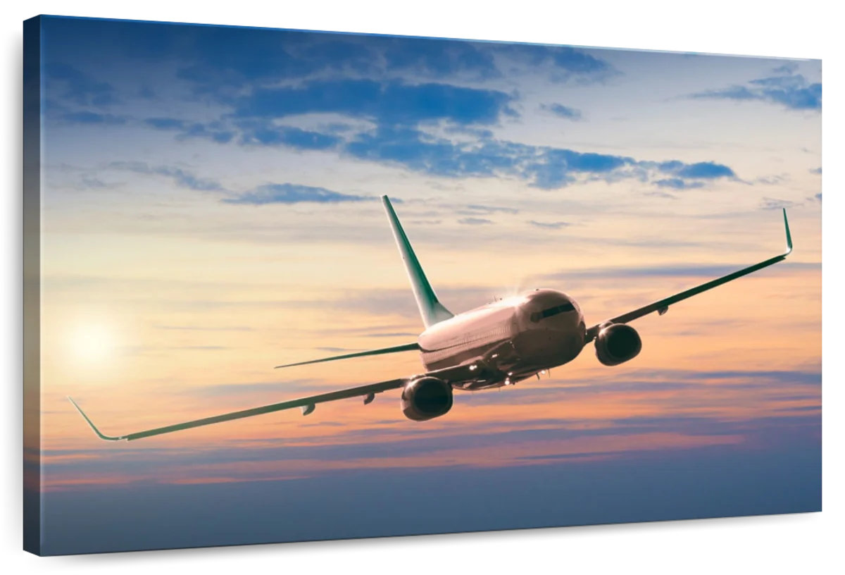 Ebern Designs Mehar Flying Airplane At Sunset - Wayfair Canada