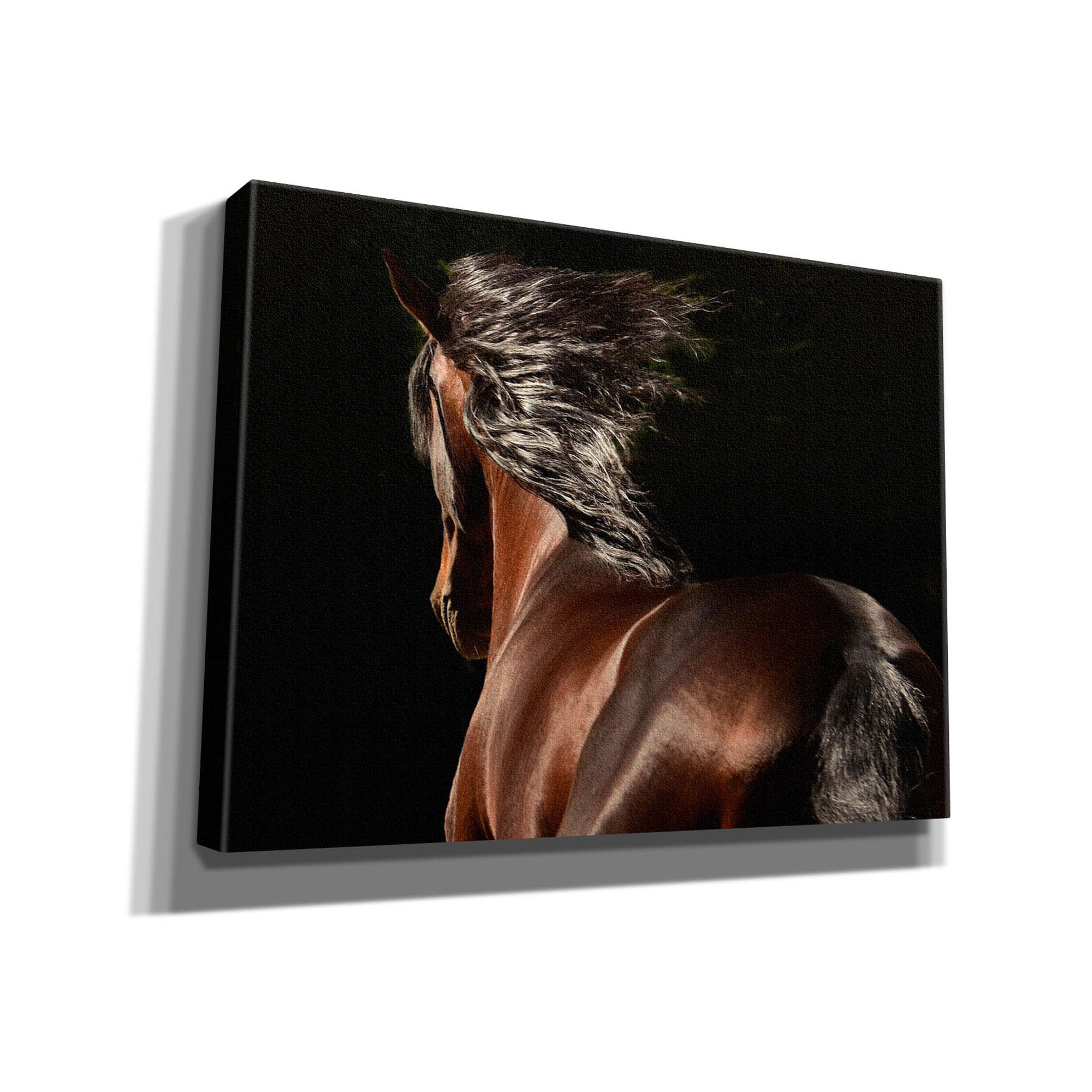 Latitude Run® Mithusa Reflection On Canvas by Tony Stromberg Print ...