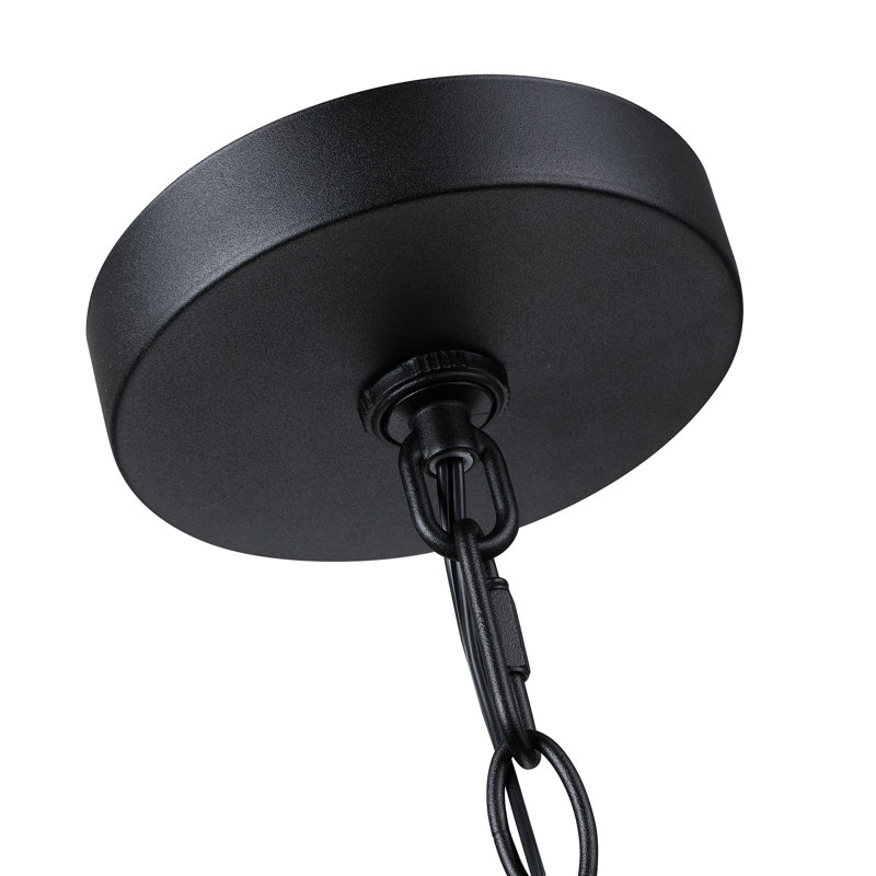 Ebern Designs 18 in Outdoor Pendant Light with Matte Black Finish,1 E26 ...