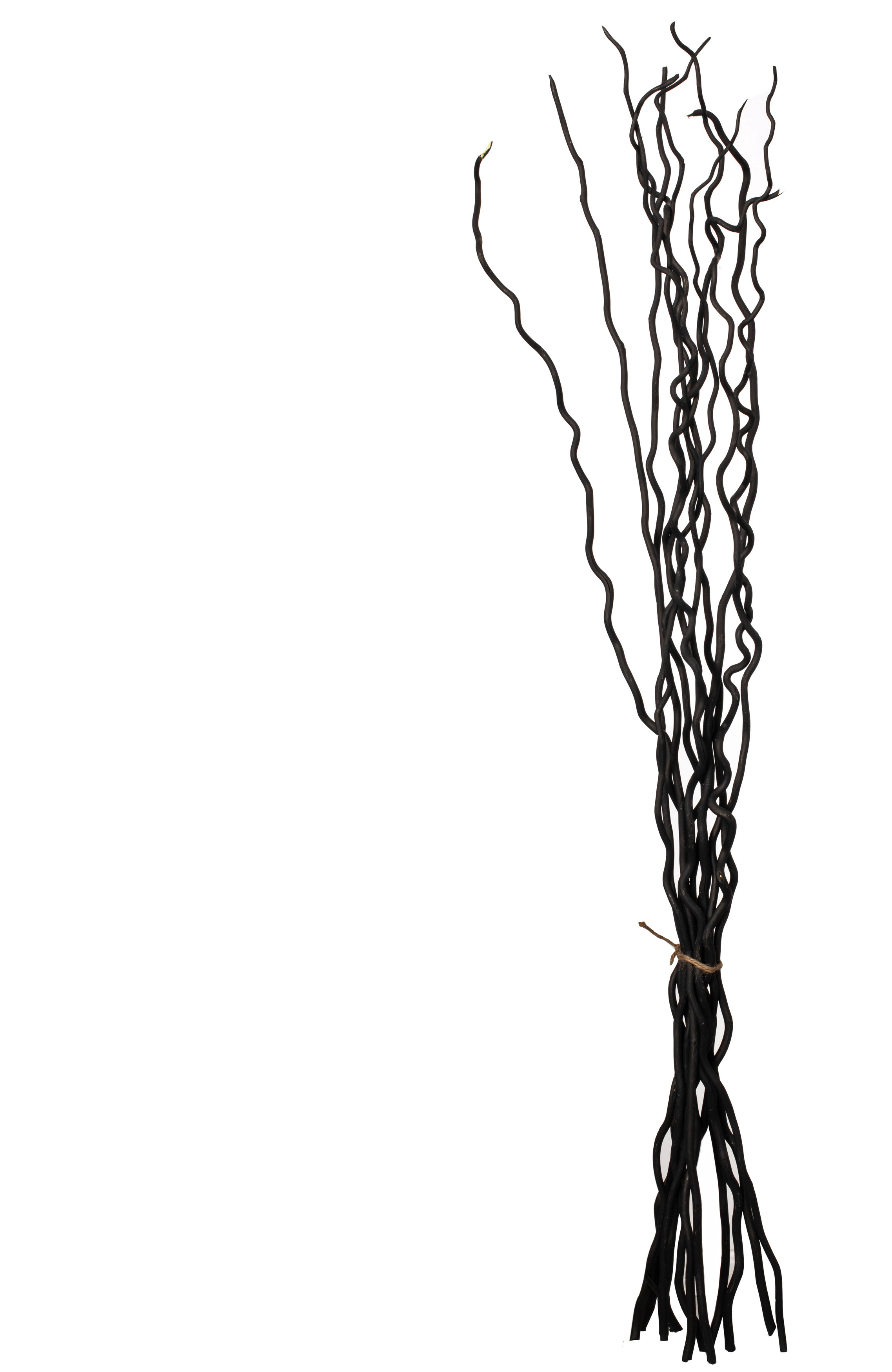 Primrue 12pc 59" Natural Dried Mulberry Twigs Ideal Sticks For Diy ...