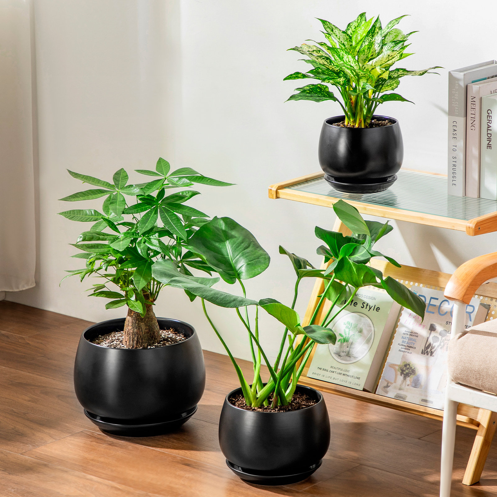 Dakota Fields Ceramic Plant Pots | Wayfair.co.uk