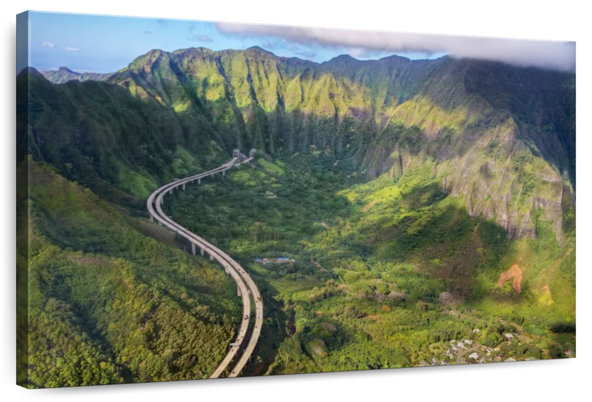 Ebern Designs Mehar John A Burns Freeway | Wayfair