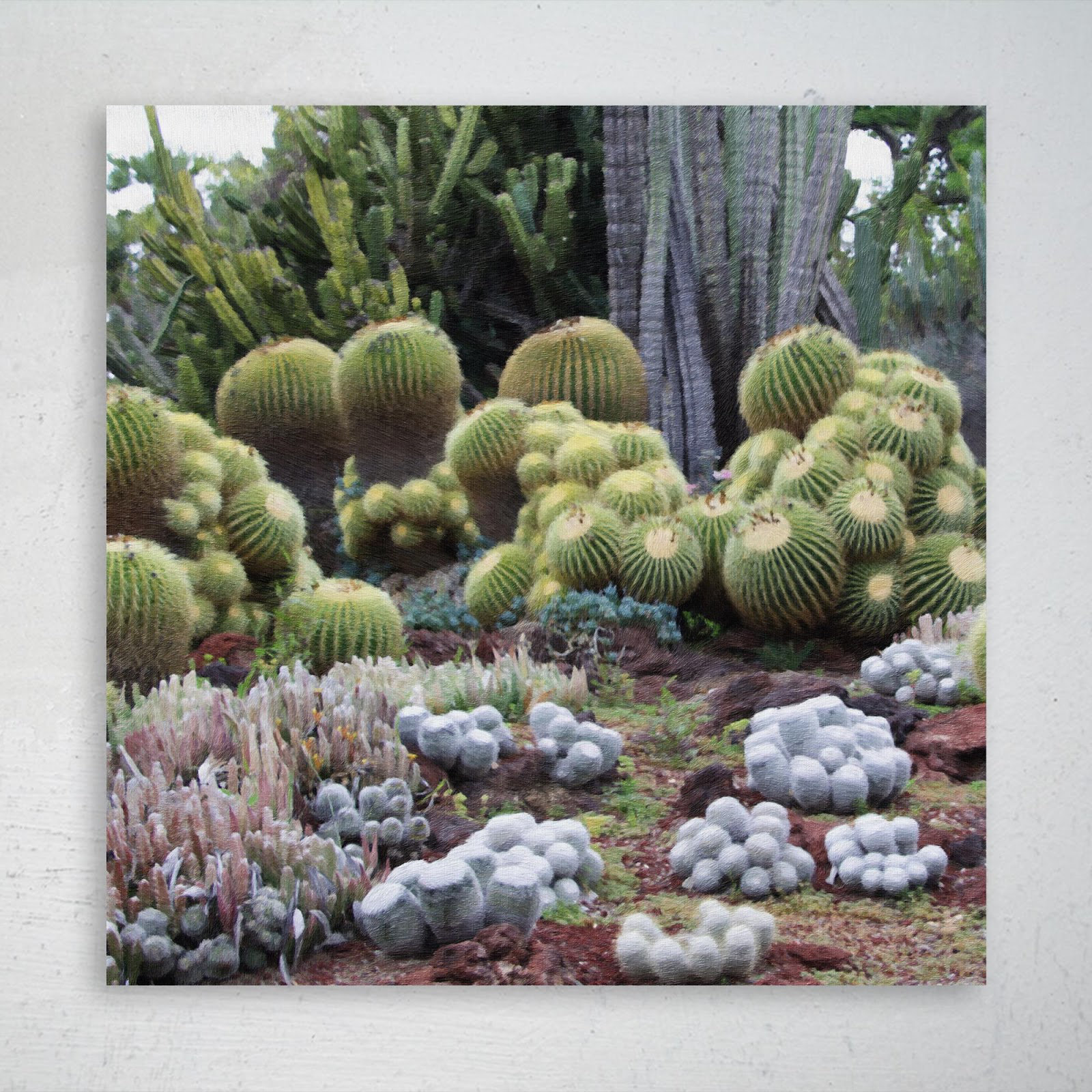 Dakota Fields Cacti In A Garden During Daytime - 1 Piece Square " Cacti ...