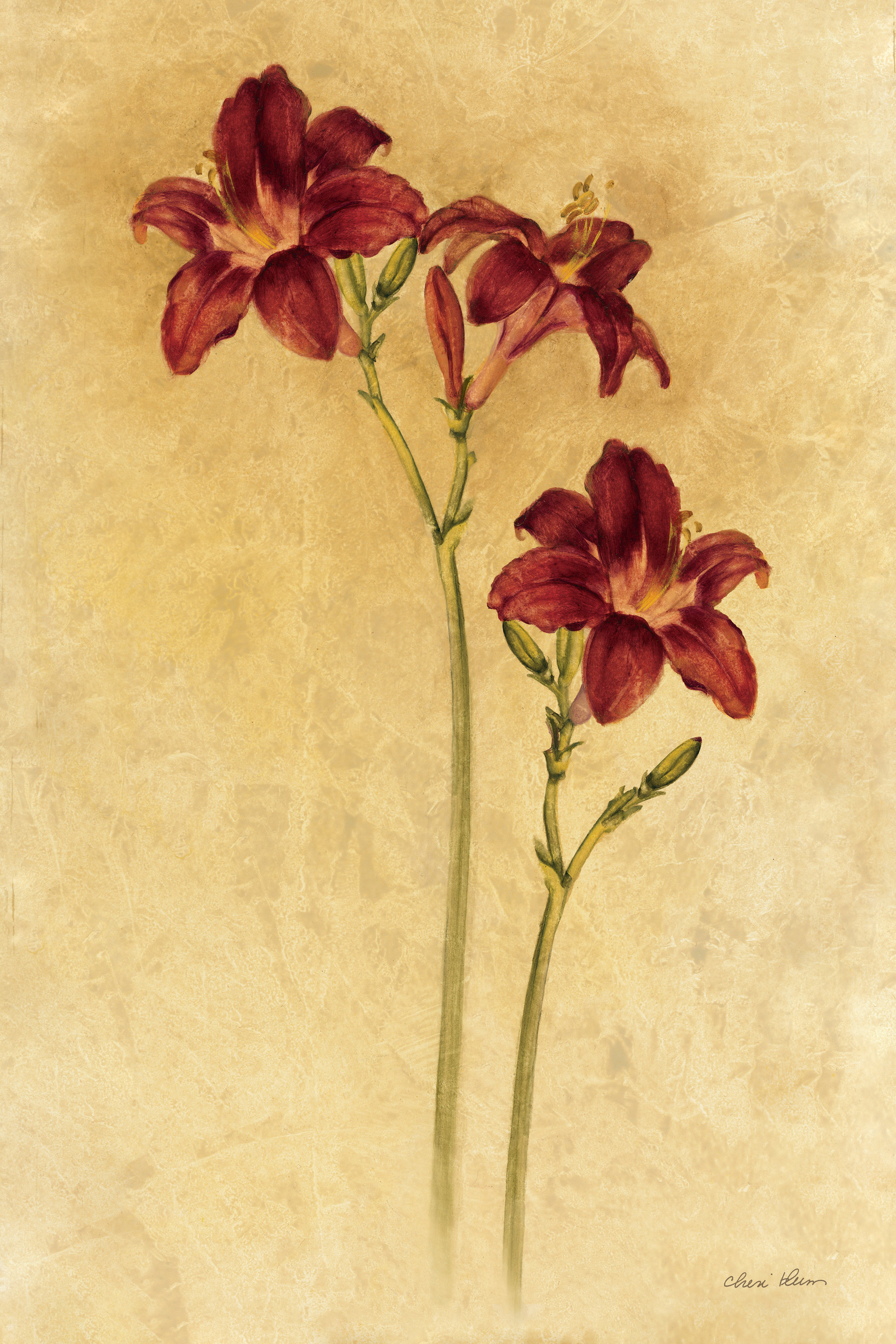 Winston Porter Red Day Lily On Canvas by Cheri Blum Print | Wayfair