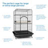 Tucker Murphy Pet™ Briceno Macaw Cage with Caster & Reviews | Wayfair