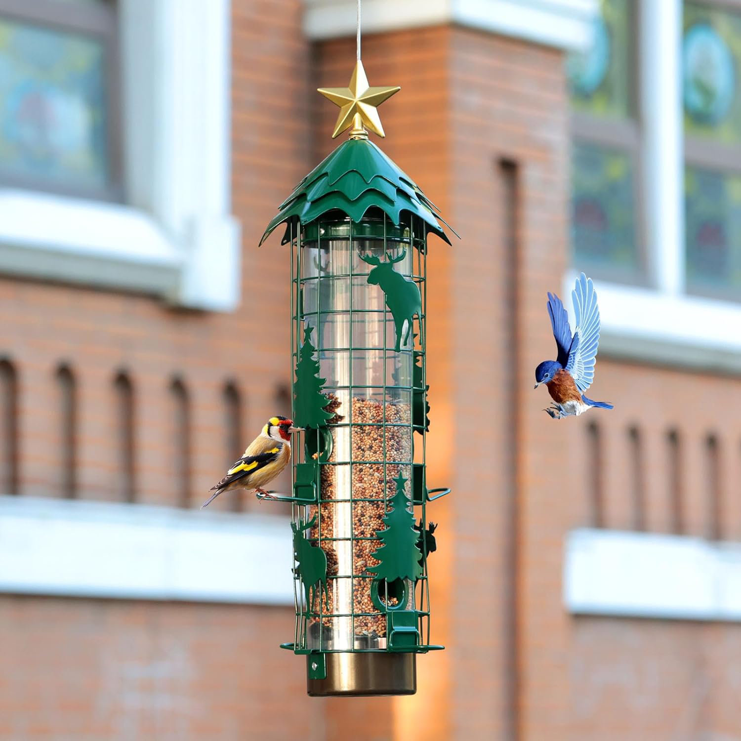 Arlmont & Co. Squirrel Proof Bird Feeders For Outdoors Anti Squirrel ...