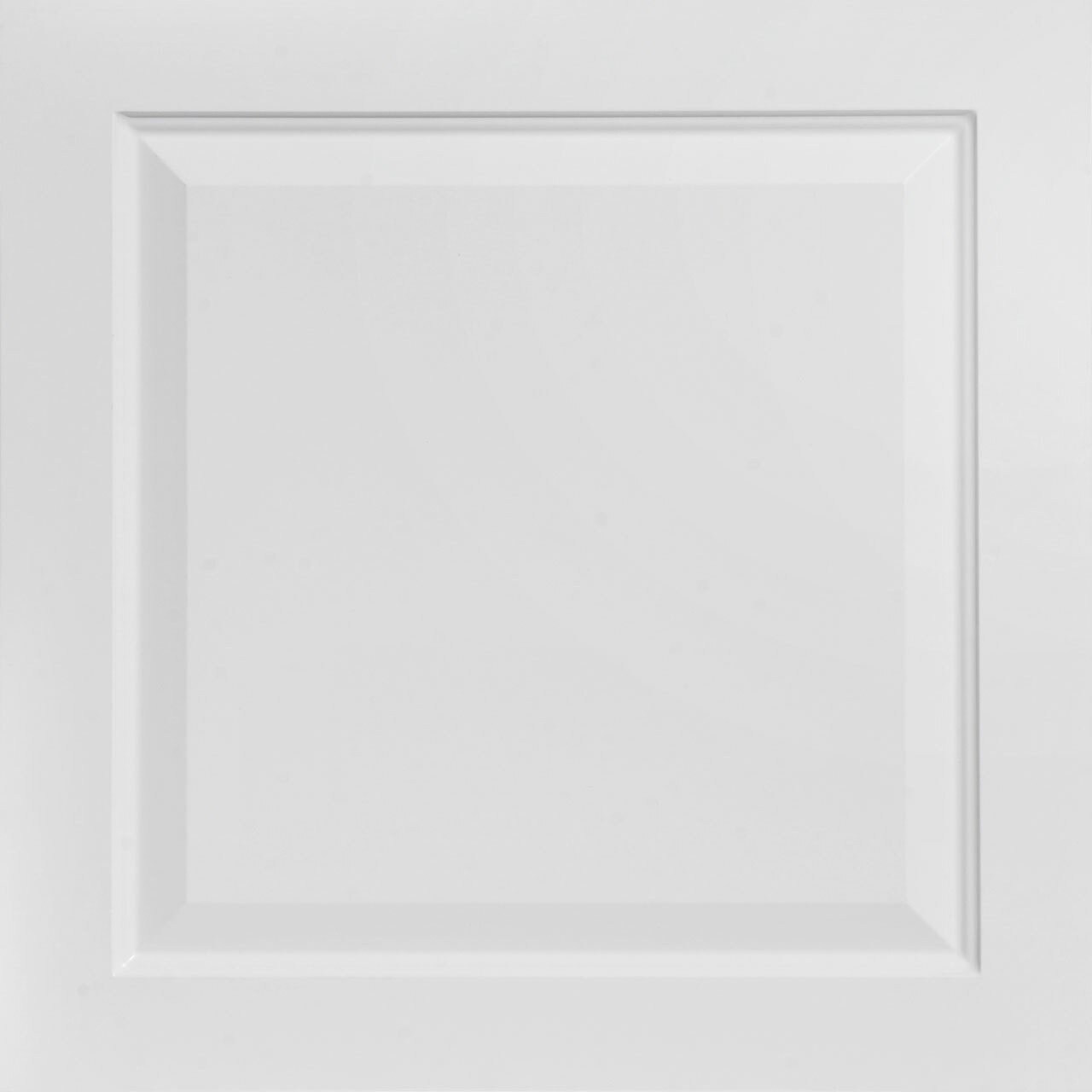 FromPlainToBeautifulInHours Raised Panel 24'' L x 24'' W Textured PVC ...