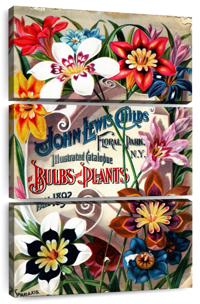 Lark Manor Harnek Flower Seed Catalogues II - Wayfair Canada
