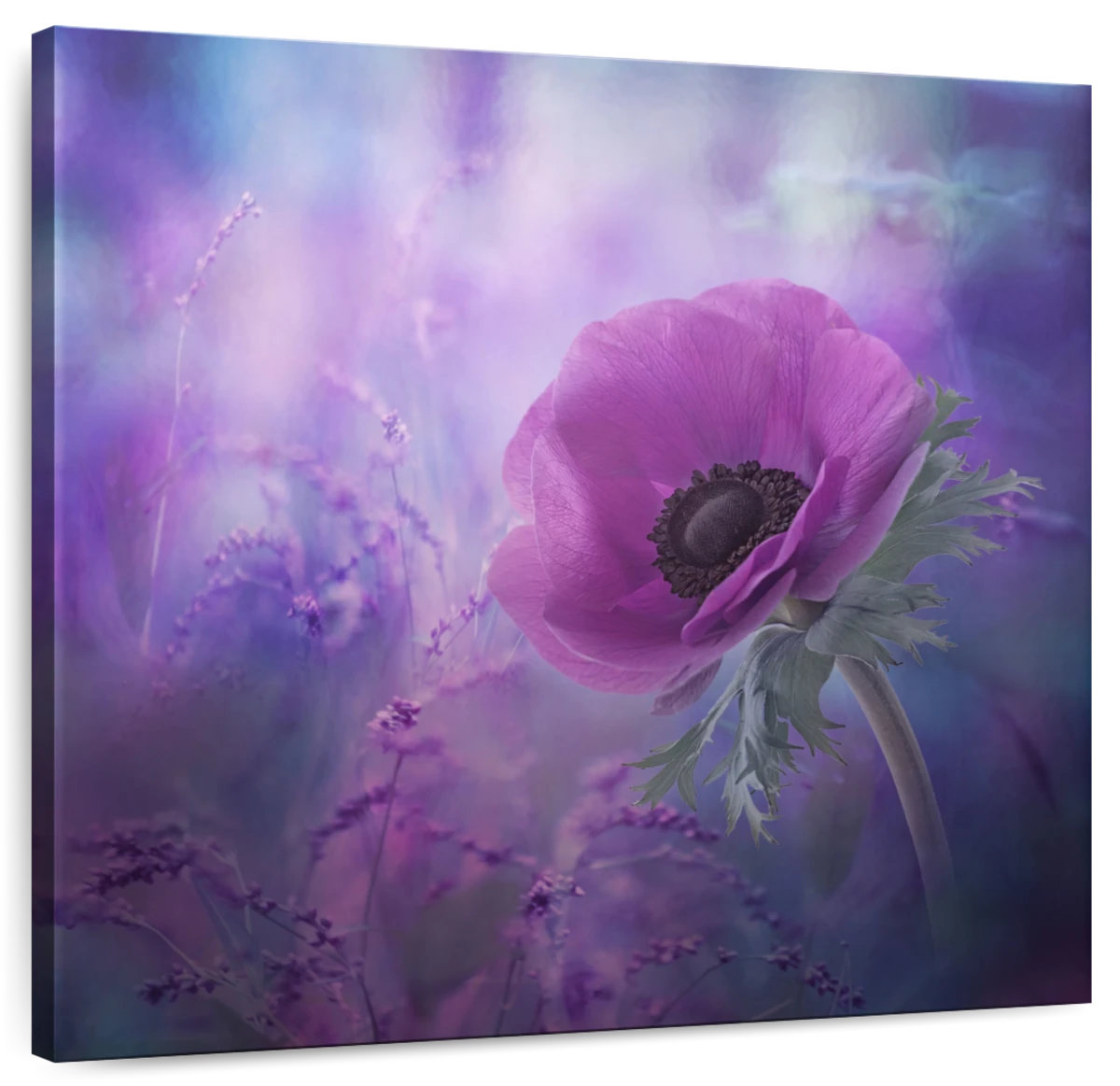 Ebern Designs Arney Purple Ecstasy | Wayfair