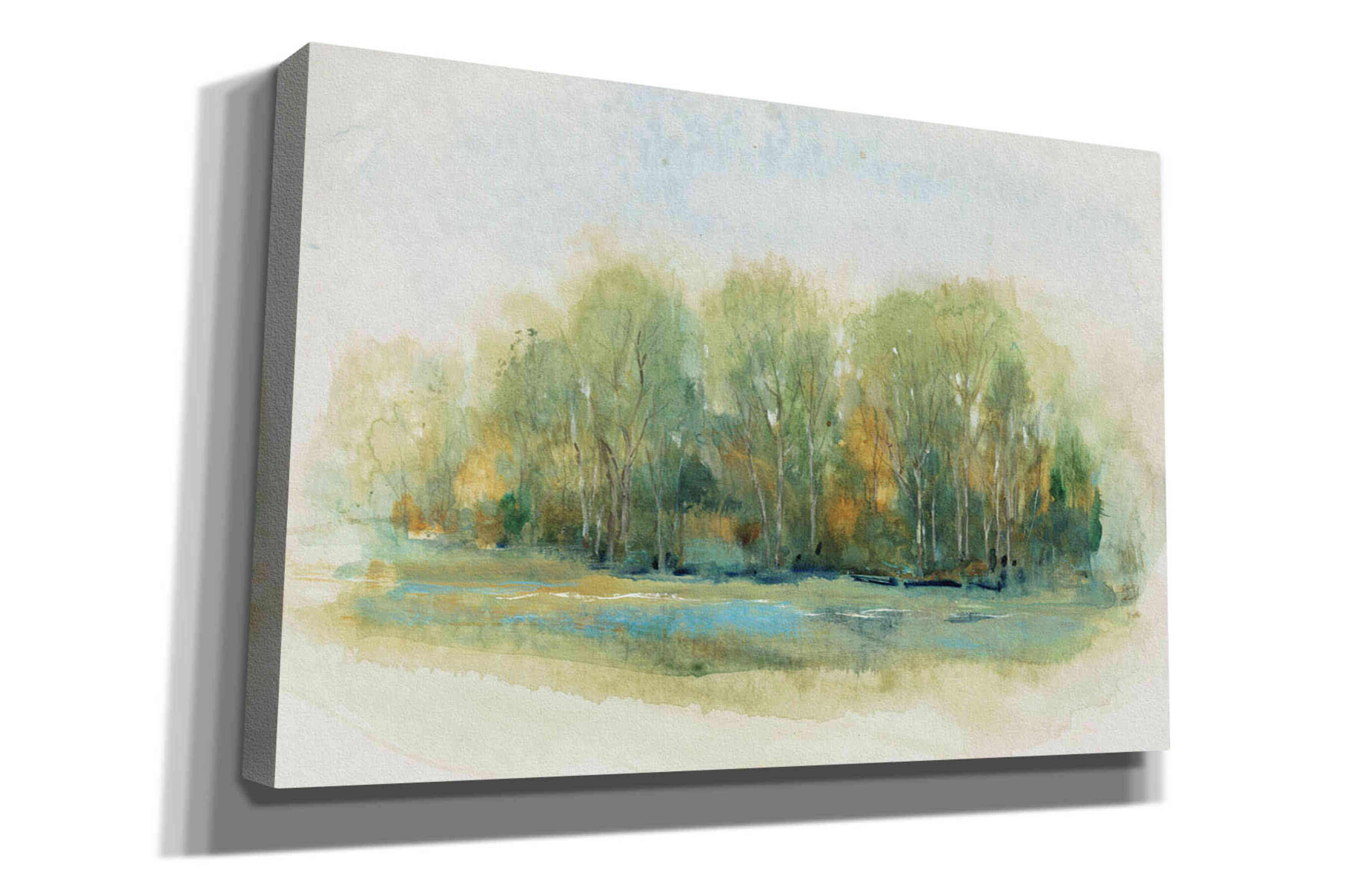 Loon Peak® Forest Vignette I' By Tim O'toole, Canvas Wall Art | Wayfair