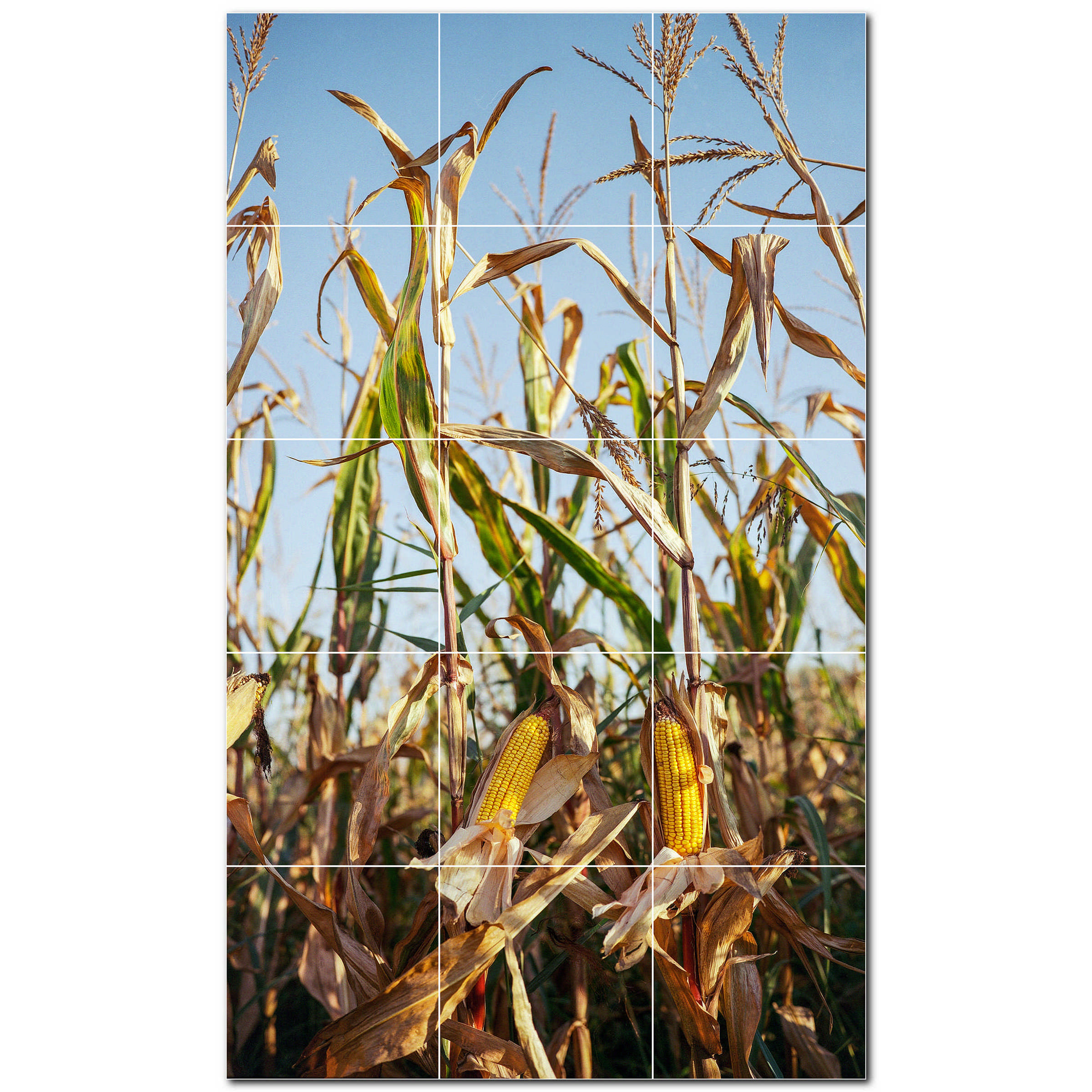 Picture-Tiles.com 32" x 40" Ceramic Farm Photo Decorative Mural Tile ...