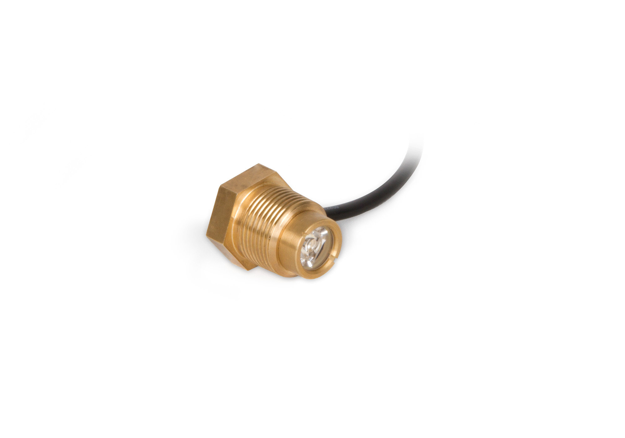 Atlantic Water Gardens New Spout Light | Wayfair