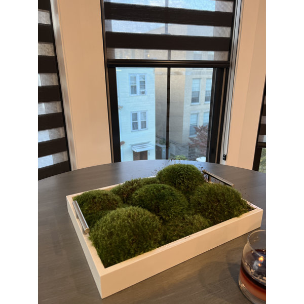 Moss Pure Moss Tray | Wayfair