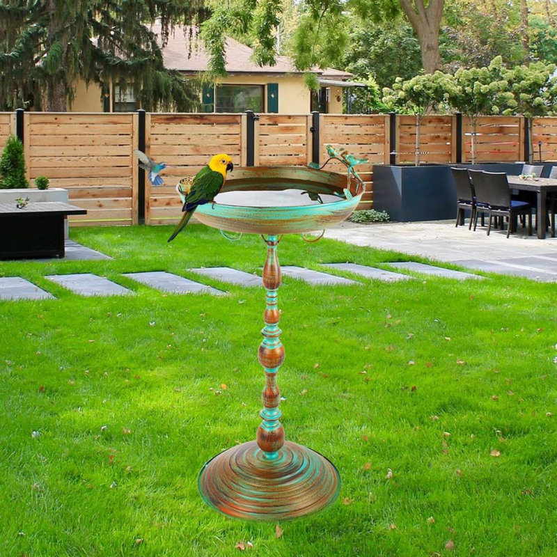 Canora Grey Corrida 13'' Dia Bird Bath Bowl with Hummingbird Pattern ...