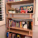 Everly Quinn Camylle Standard Bookcase & Reviews | Wayfair