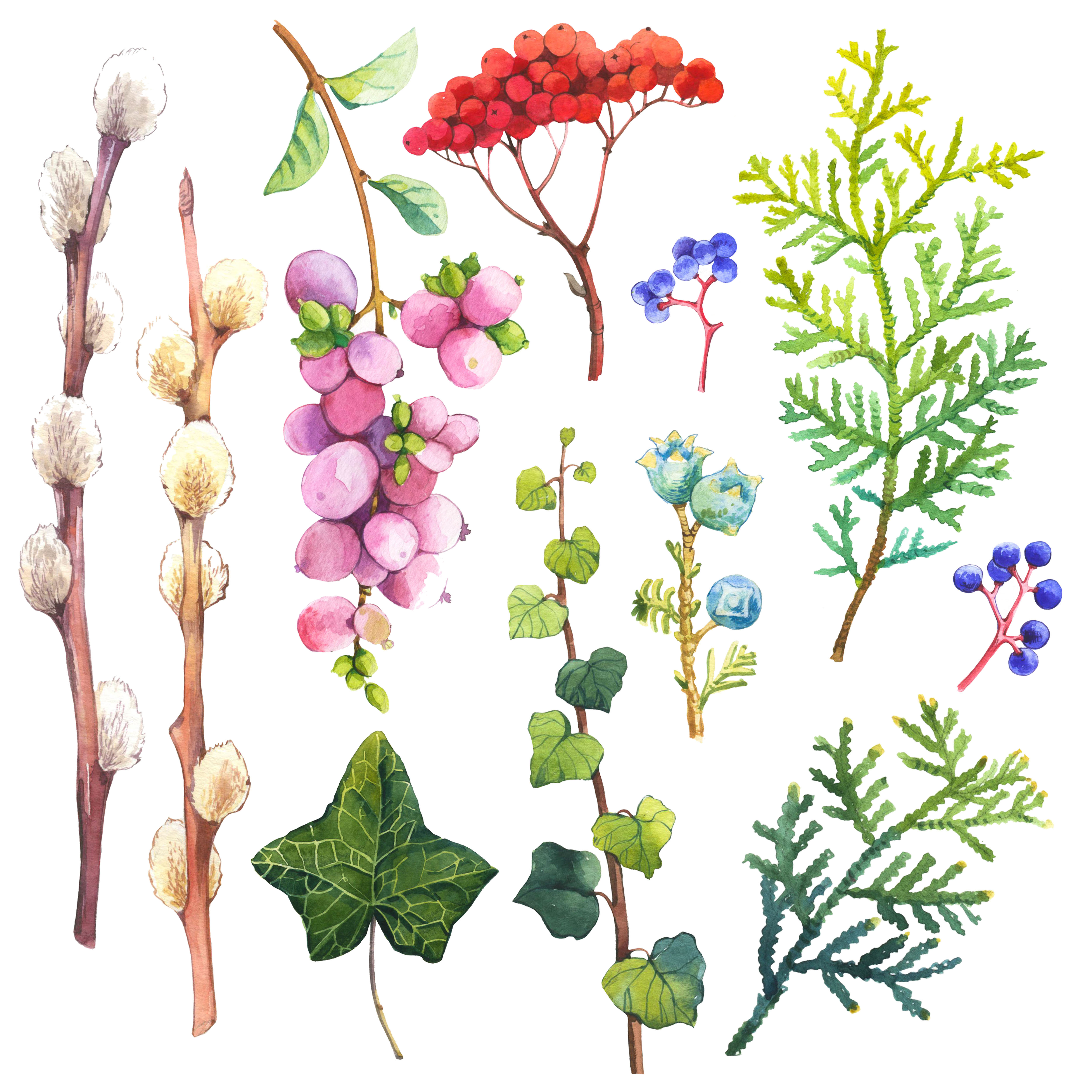 Winston Porter Watercolor Illustration - Wrapped Canvas Painting | Wayfair