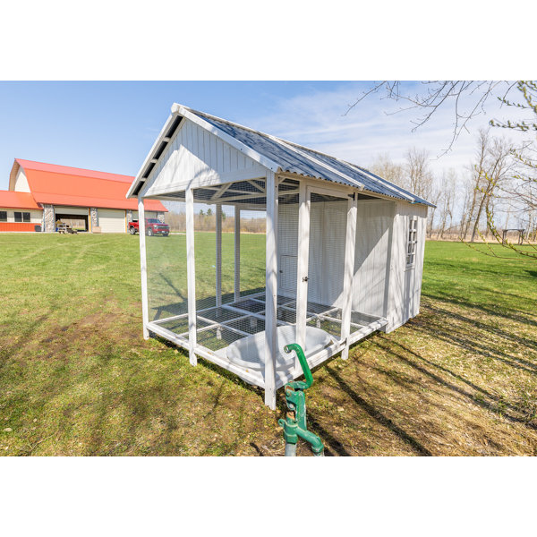 Zylina Modern Duck Barn & Reviews | Wayfair