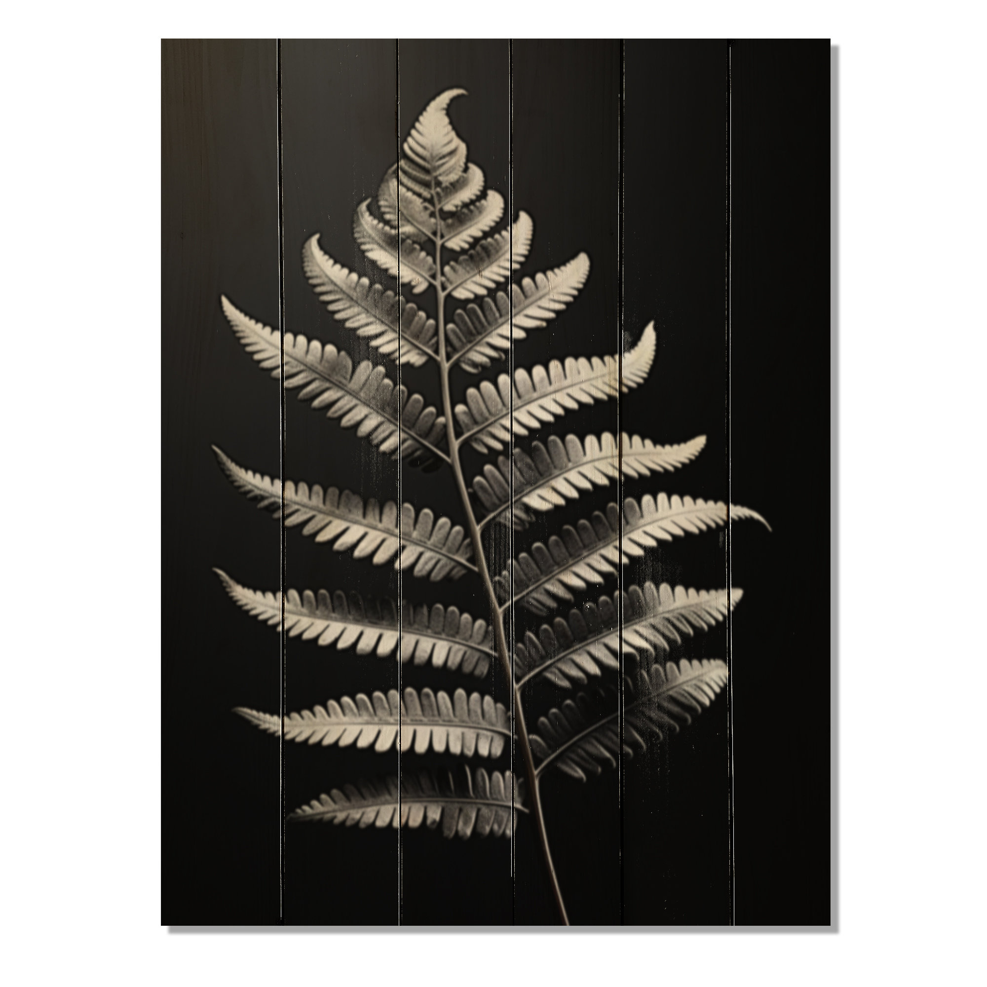 Gracie Oaks Ferns Bronze Harmony I On Wood Print | Wayfair