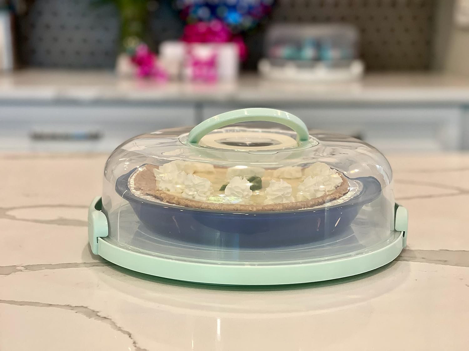 Ivy Bronx Pie, Cheesecake Carrier for up to 10 in x 4 1/2 in cake | Wayfair