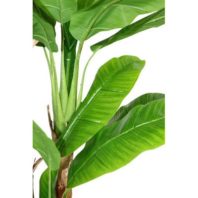 Laura Ashley Panama 72'' Faux Banana Leaf Tree & Reviews | Wayfair