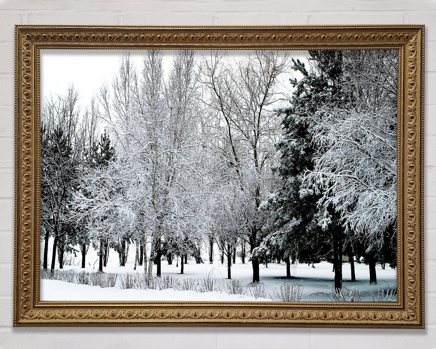 Bright Star Winter In The Snow Forest - Single Picture Frame Print ...