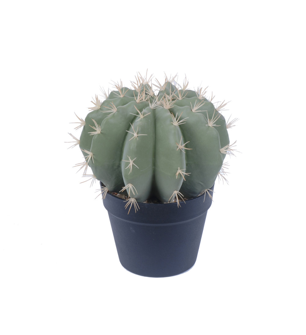 George Oliver Cactus Potted | Wayfair