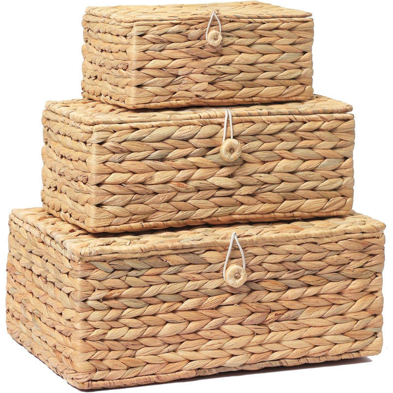 Bayou Breeze Set Of 3 Wicker Storage Baskets With Lid | Wayfair