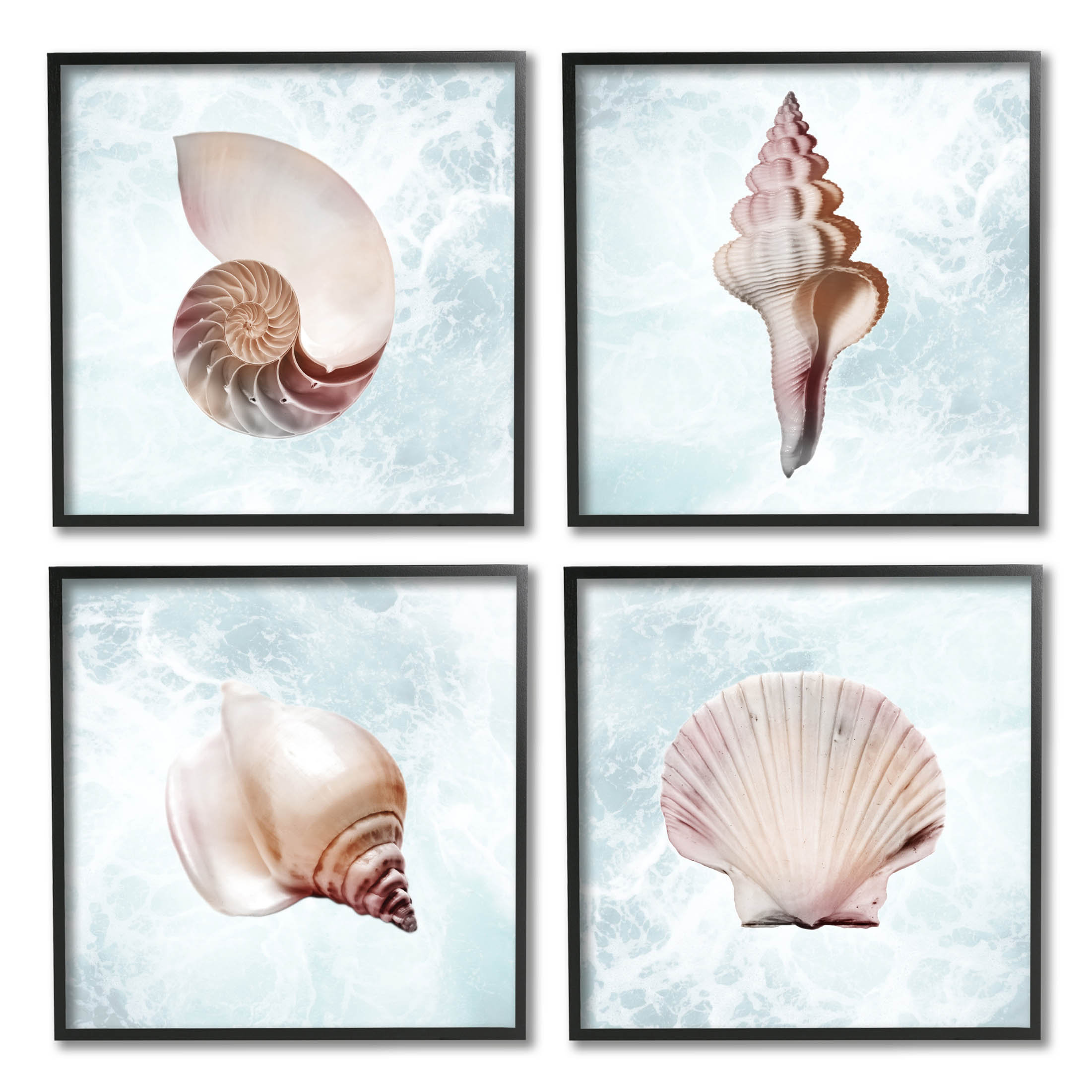Stupell Industries Underwater Sea Life Shells 4 Pc Giclee Art Set By ...