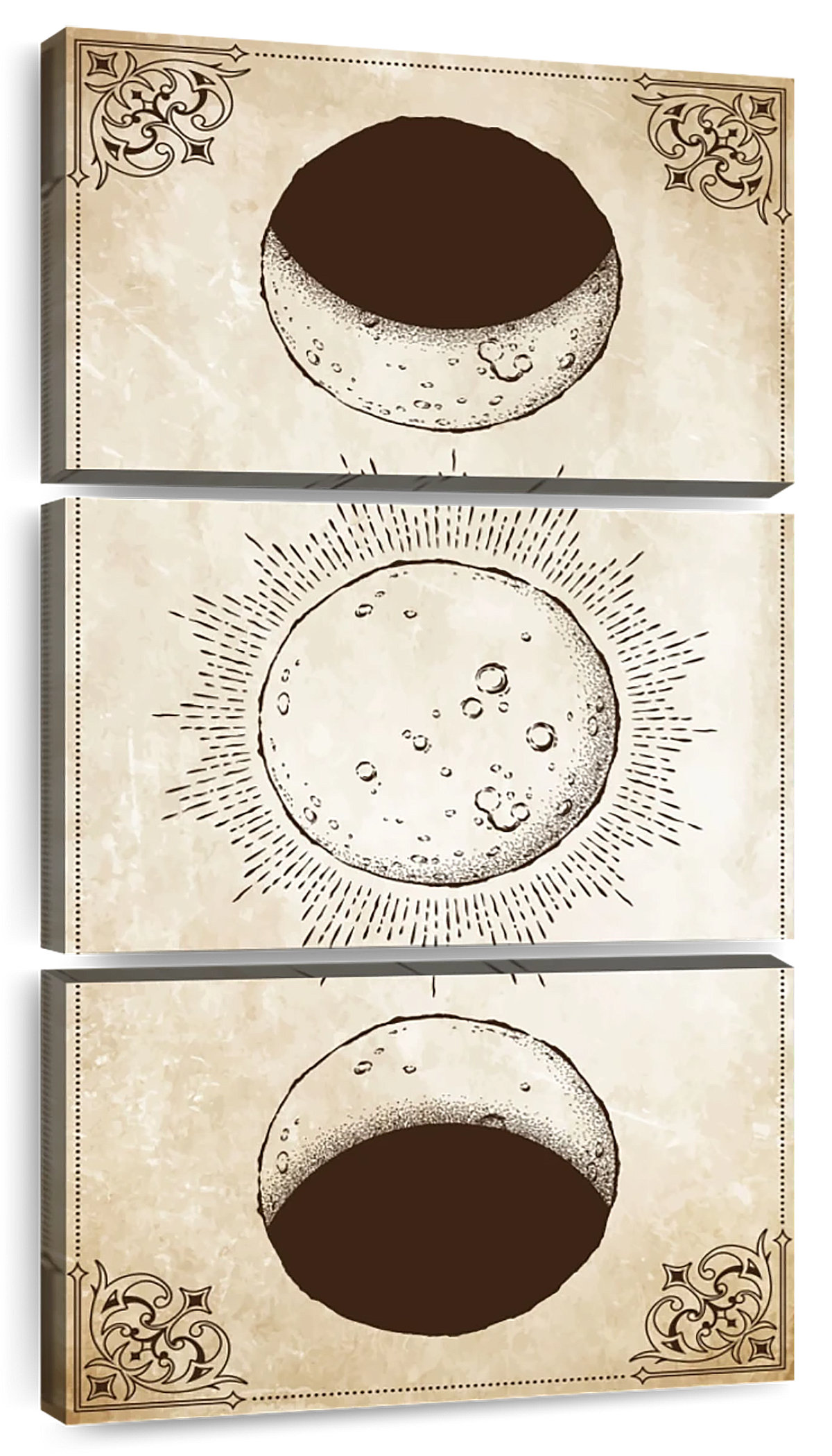 Lark Manor™ Antique Moon Phases | Wayfair